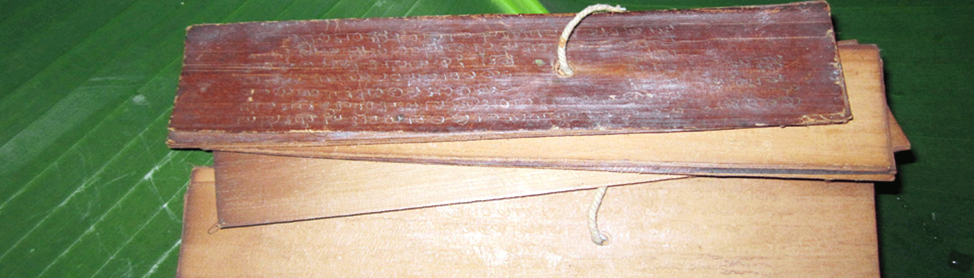 About Us - Medicinal Plants : Medicinal Plants